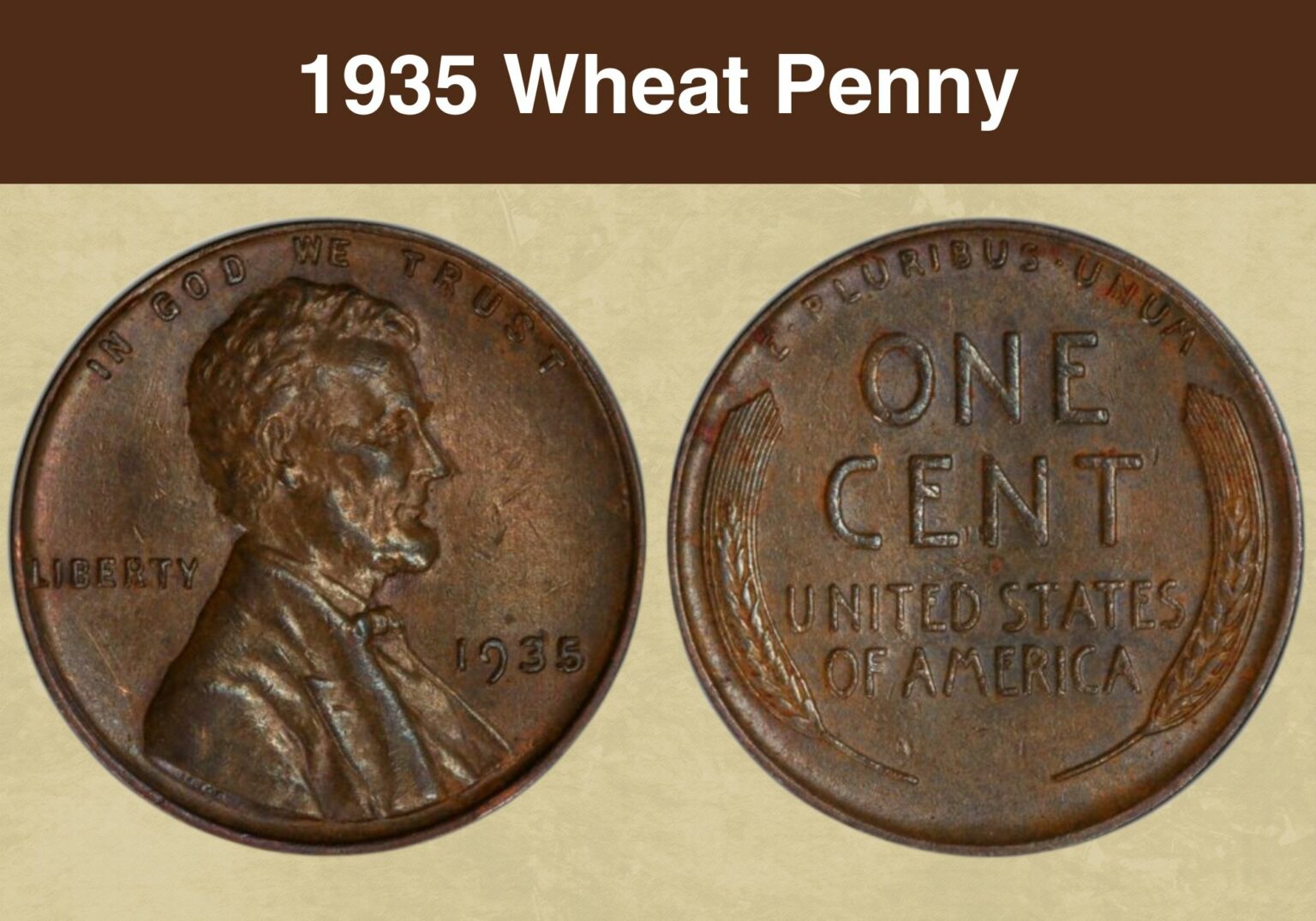 1935 Wheat Penny Value (Price Chart, Error List, History & Varieties)