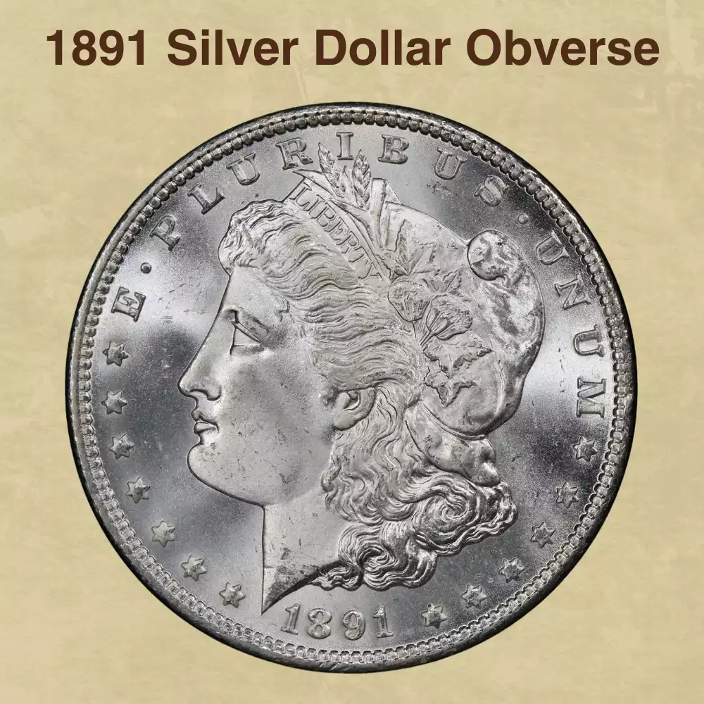 1891 Silver Dollar Value Checker: Errors List, "CC", "O", "S" & No Mint ...